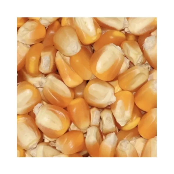 Maíz entero 25 kg | Agrozoo